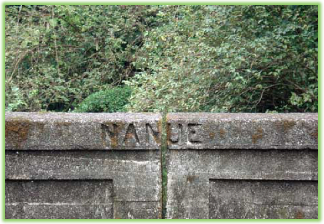 Nanue Falls Adventure Guide - Epic Trip Adventures